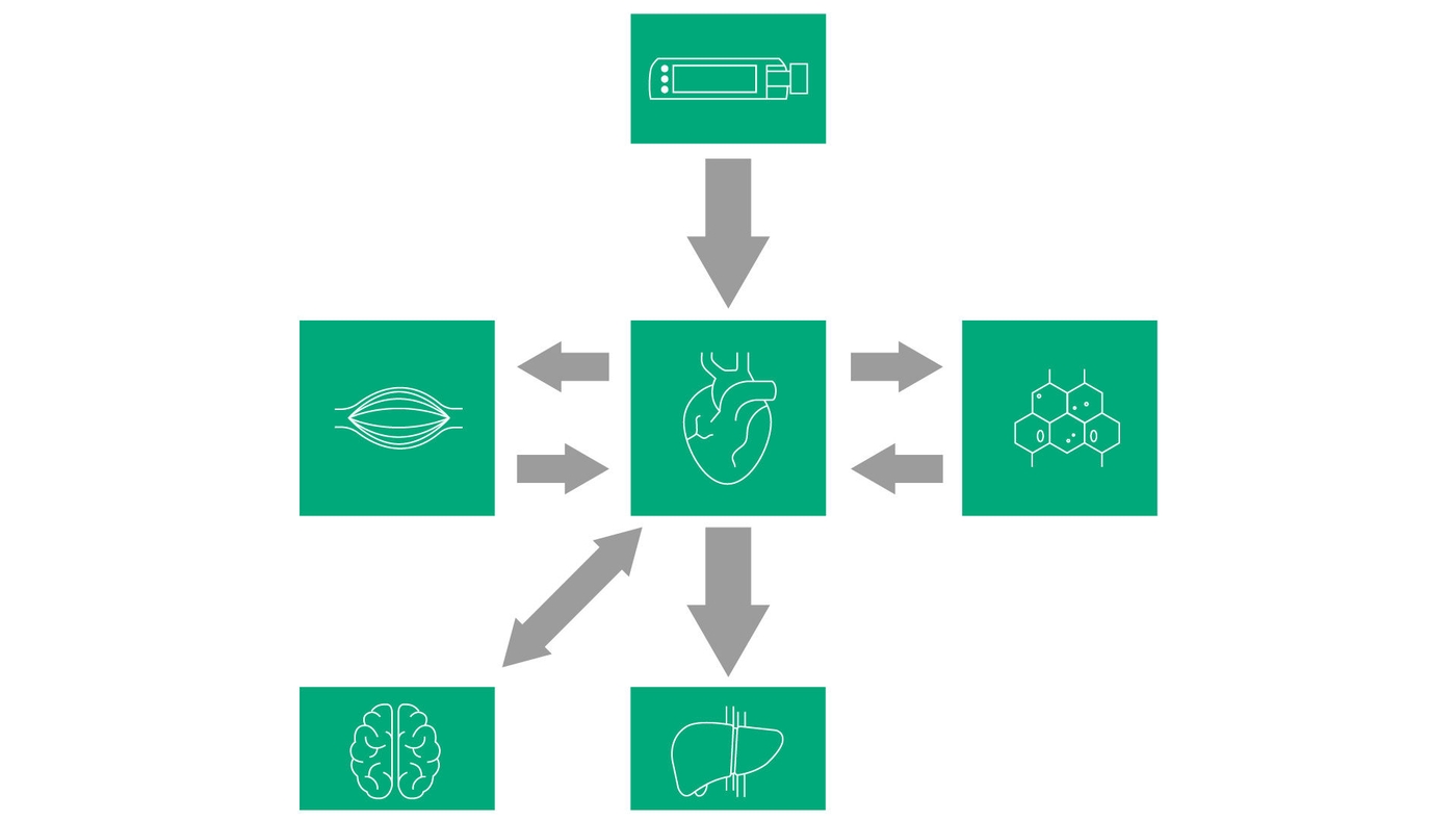 Totale intraveneuze anesthesie (TIVA) en TCI met Spaceplus - B. Braun