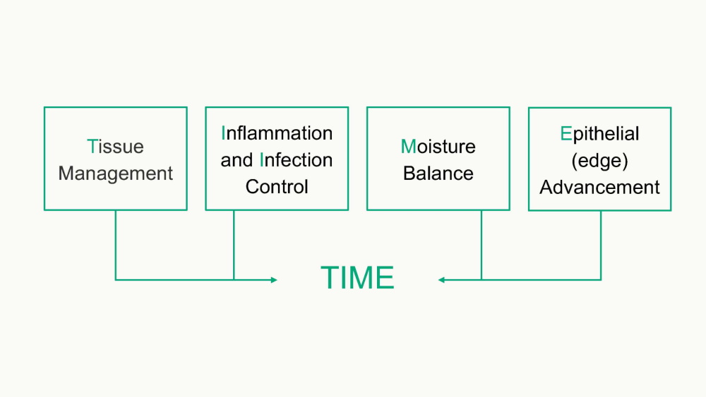 Complexe wonden behandelen volgens het TIME-concept - B. Braun
